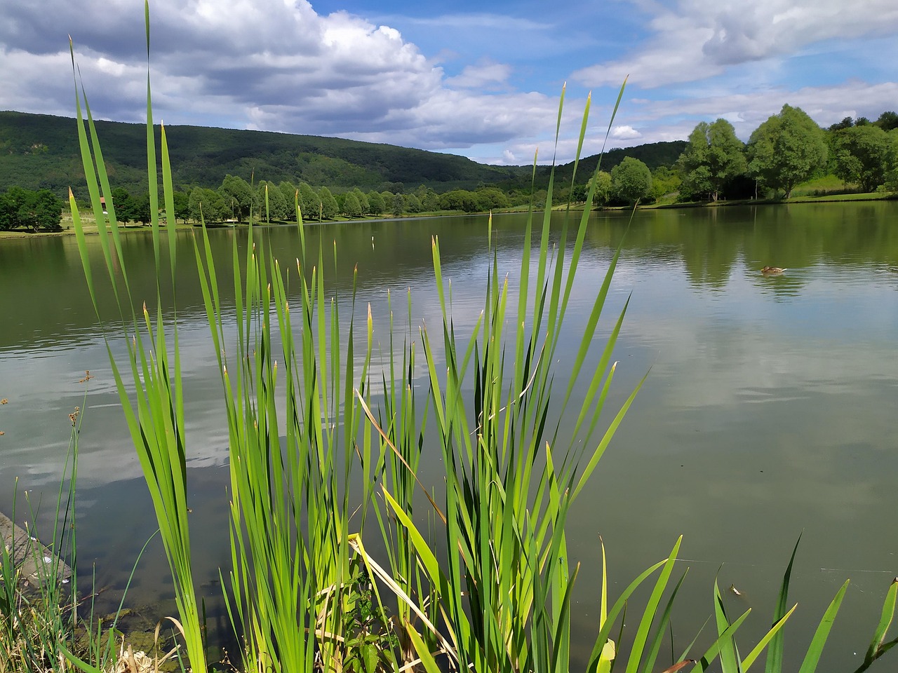 Alsópetény Lake Tan-See - Kostenloses Foto auf Pixabay - Pixabay