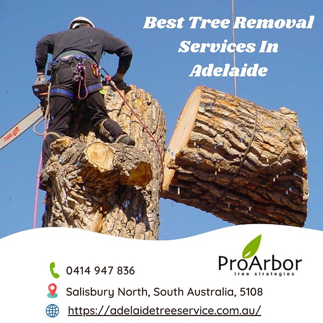 Pro Arbor Tree-Strategien Baum - Kostenloses Foto auf Pixabay - Pixabay