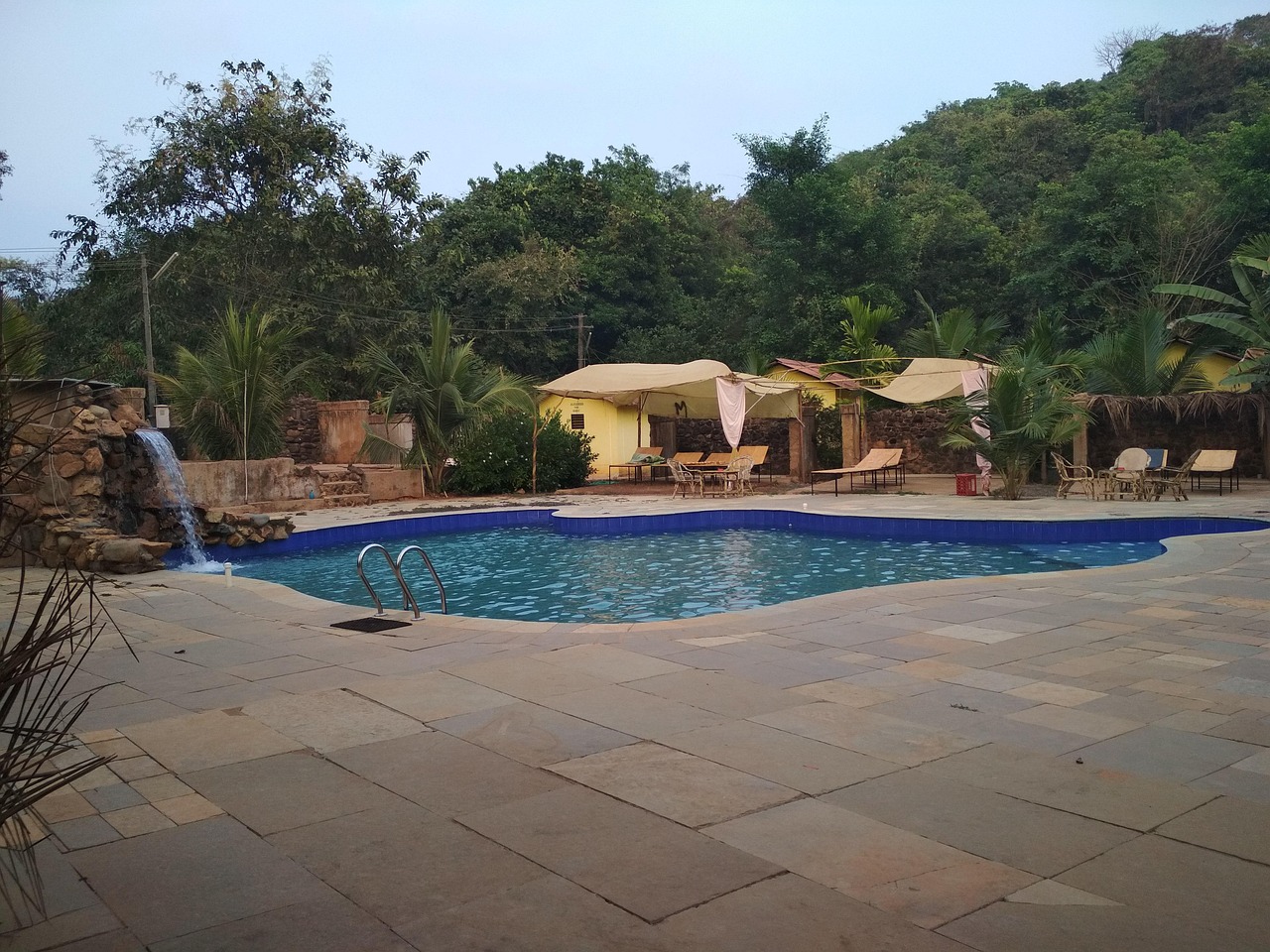Leopardvalley Boîte De Nuit Goa - Photo gratuite sur Pixabay - Pixabay