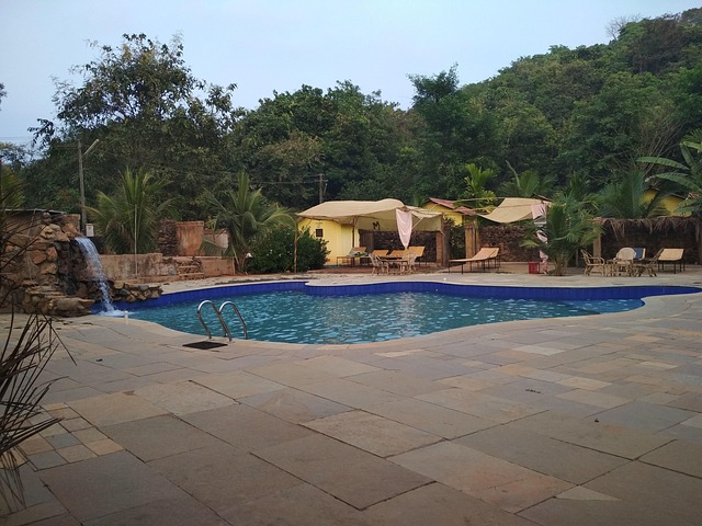 Leopardvalley Boîte De Nuit Goa - Photo gratuite sur Pixabay - Pixabay