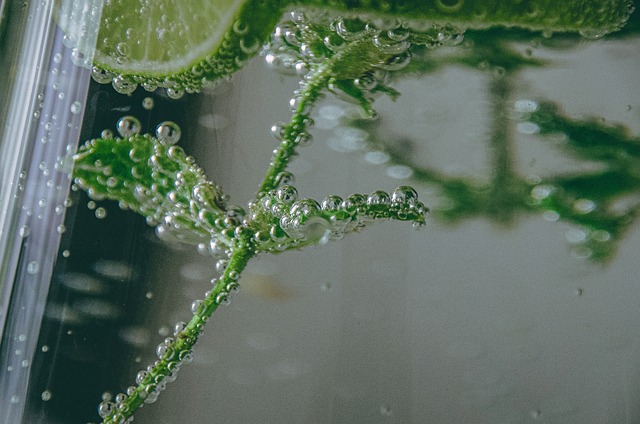 Mint Lime Water Free Photo On Pixabay Pixabay