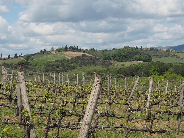 Toscane Vignoble - Photo gratuite sur Pixabay - Pixabay