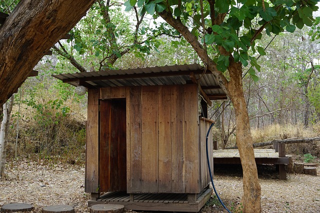 Wooden Hut Forest - Free photo on Pixabay - Pixabay