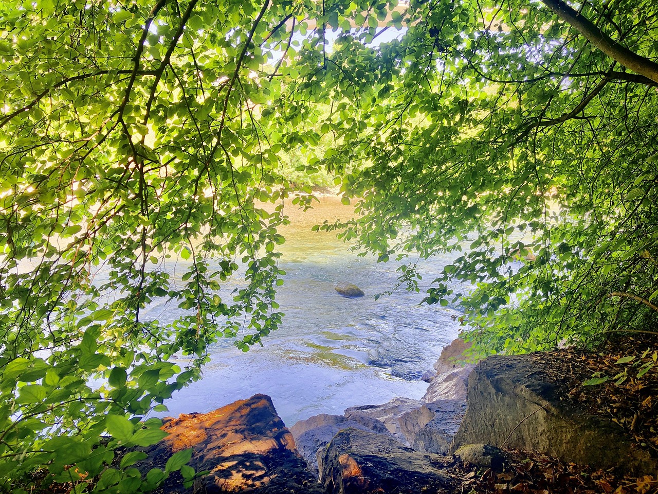 Nature Stream River - Free photo on Pixabay - Pixabay