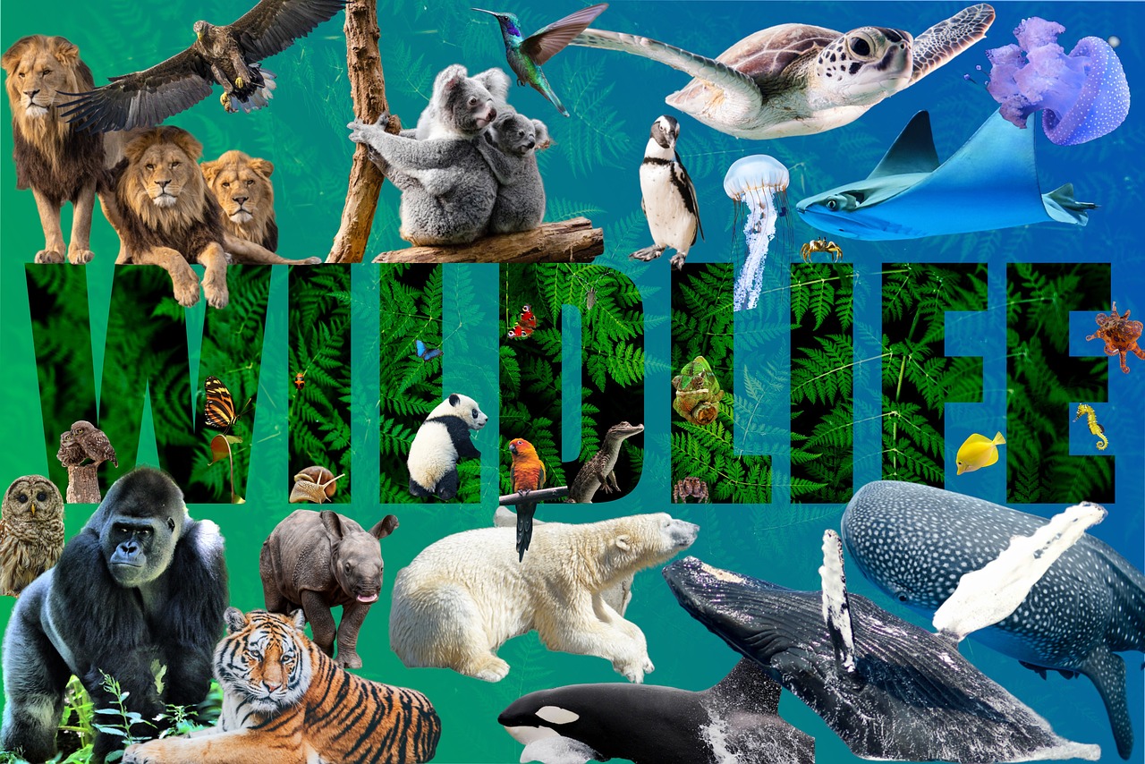 Nature Wildlife Animals - Free photo on Pixabay - Pixabay