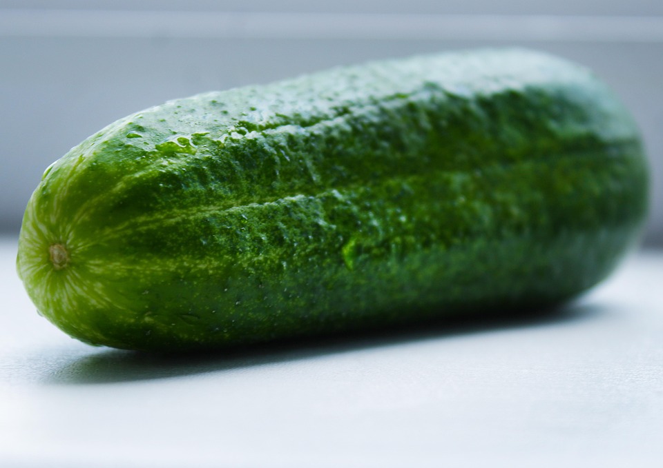 Concombre Vert Nutrition En Bonne - Photo gratuite sur Pixabay - Pixabay