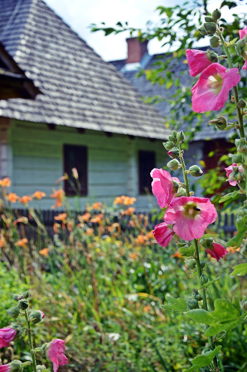 Cottage Huts Houses - Free photo on Pixabay - Pixabay