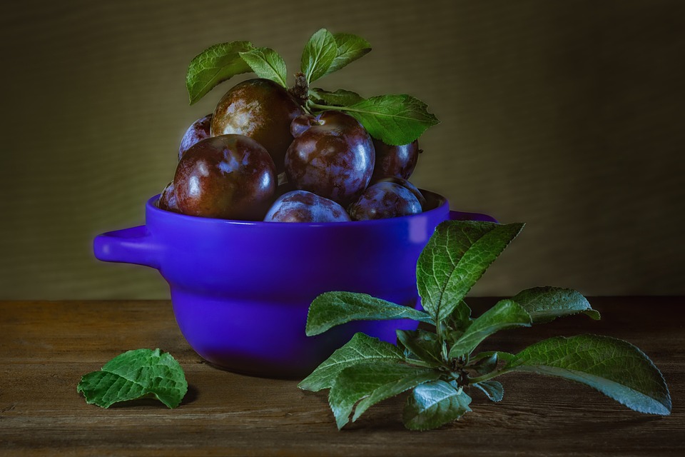 Plum Still Life Fruit - Free photo on Pixabay - Pixabay