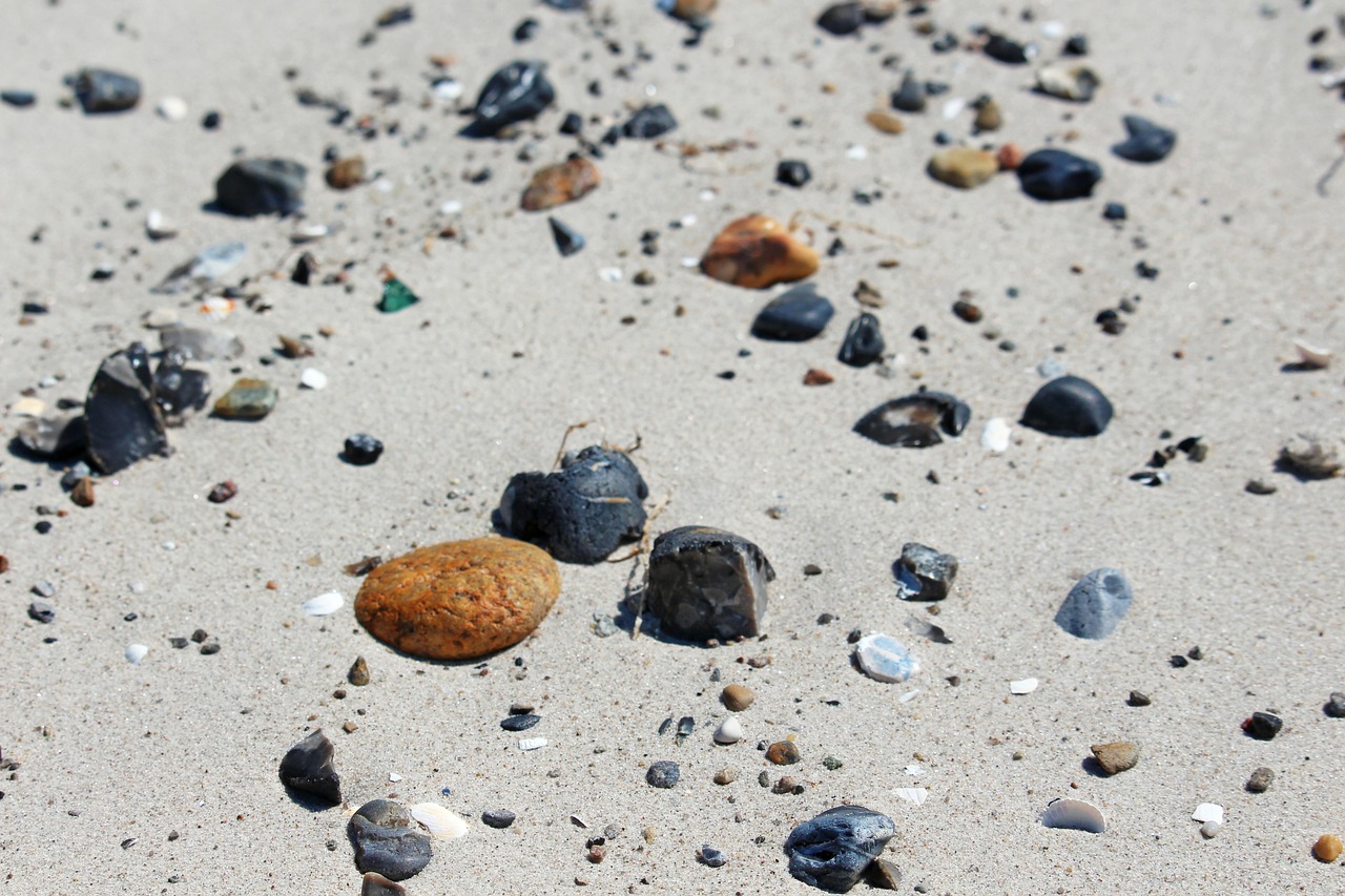 Stones Beach Shell - Free photo on Pixabay - Pixabay