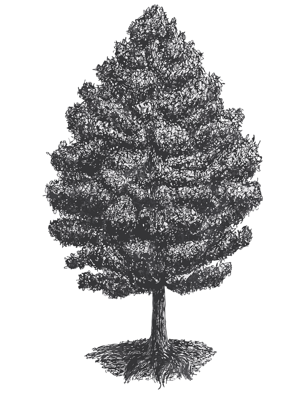 Explore 19,317+ Free Tree Roots Illustrations: Download Now - Pixabay
