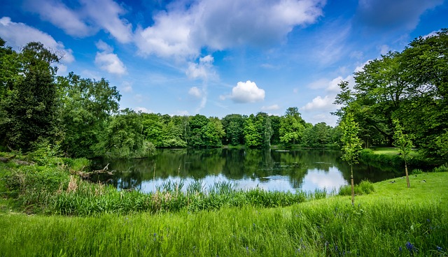 Secluded Lake Green Landscape - Free photo on Pixabay - Pixabay