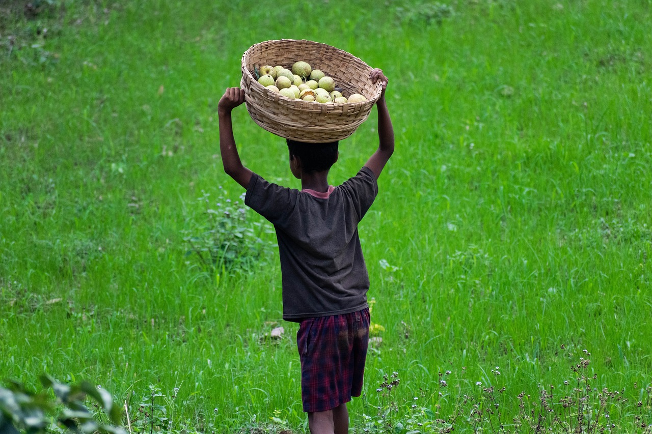 Fruits Man Basket - Free photo on Pixabay