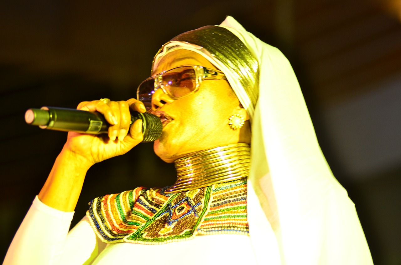 Singer Artist Event - Free photo on Pixabay