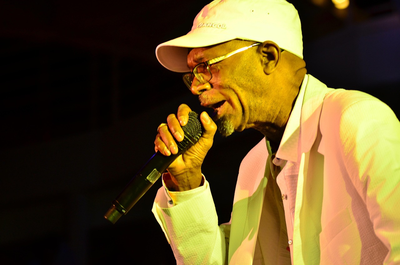 Singer Online