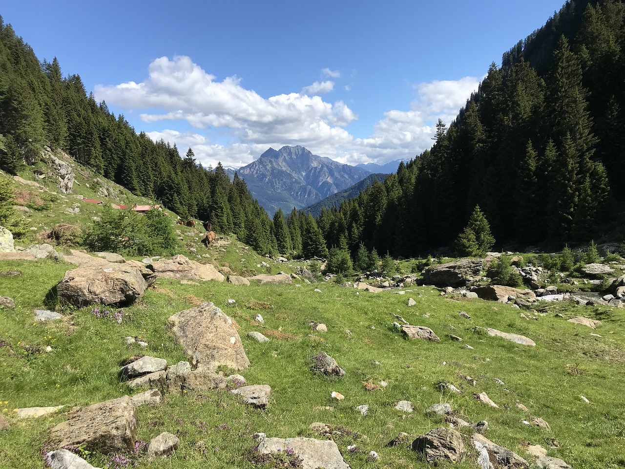 Arah Atas Cugn Alpine Route - Foto gratis di Pixabay - Pixabay