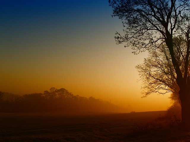 Matin Lever Du Soleil Arbre - Photo gratuite sur Pixabay - Pixabay