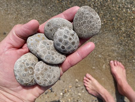 4+ Free Petoskey Stone & Beach Images - Pixabay