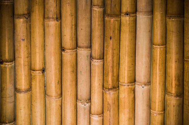 Bamboo Pattern Wood - Free photo on Pixabay