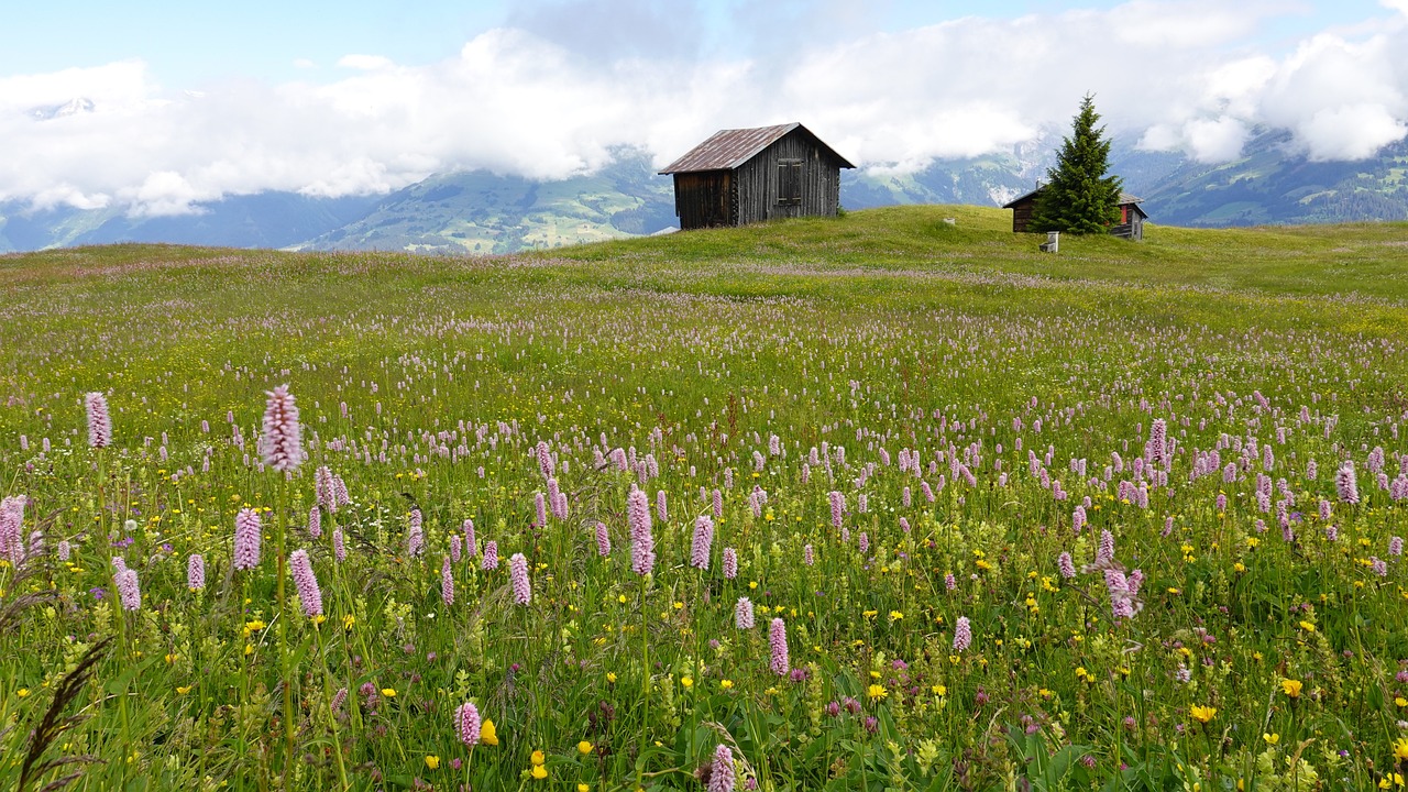 300,000+ Free Cabin Background & Cabin Images - Pixabay