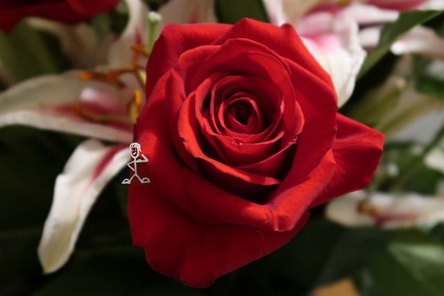 Mawar Rosa Bunga-Bunga - Foto gratis di Pixabay - Pixabay