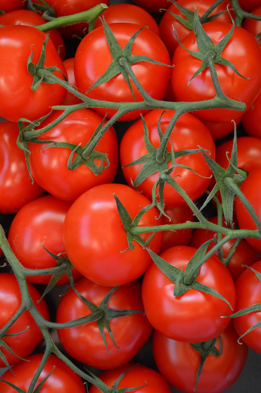 30,000+ Free Tomato Leaves & Tomato Images - Pixabay