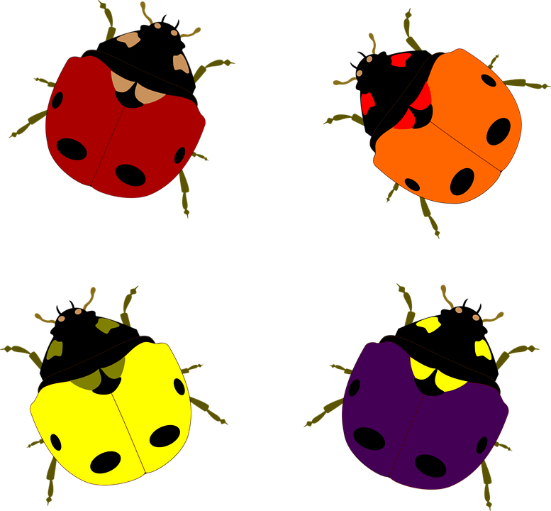 Download Ladybugs, Bugs, Insects. Royalty-Free Stock Illustration Image ...