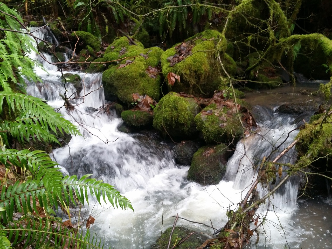 Air Terjun Batu Foto Gratis Di Pixabay Pixabay 1714