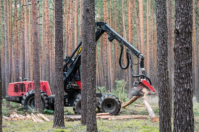 Forest Forestry Harvester - Free photo on Pixabay