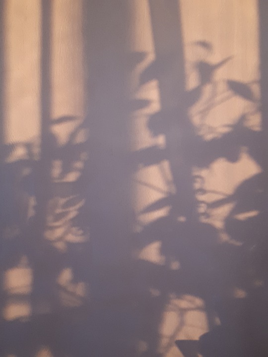 Schatten Wand - Kostenloses Foto auf Pixabay - Pixabay