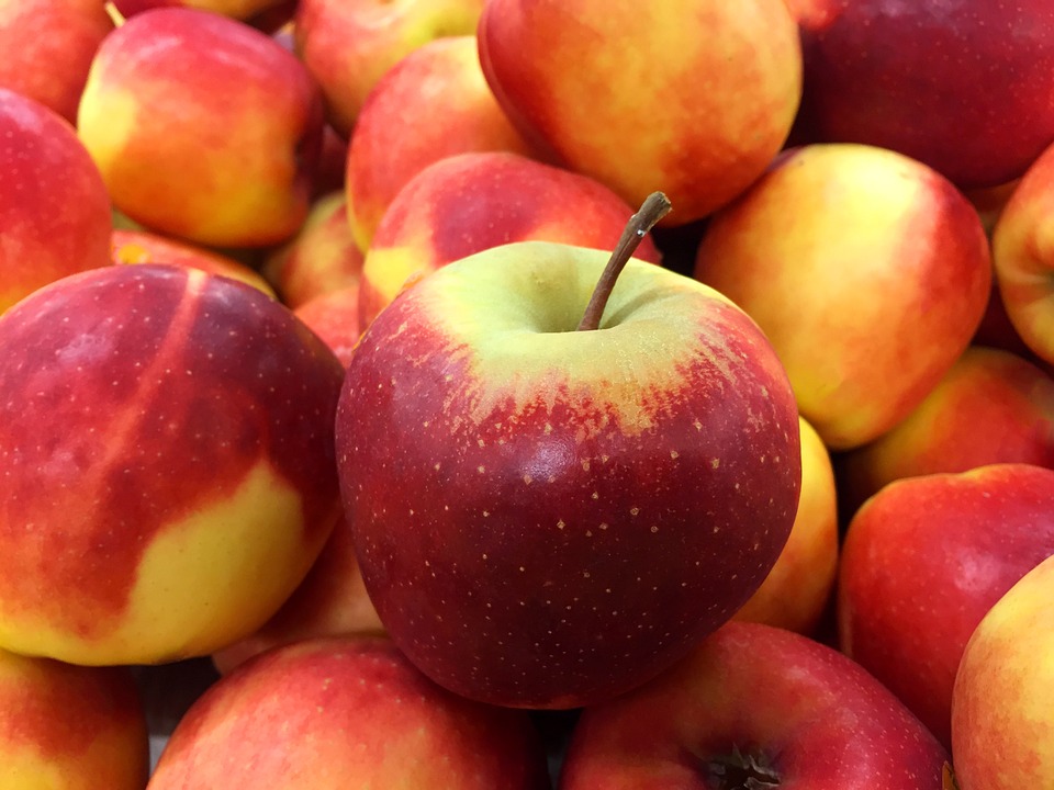 Apples Fruit Fresh - Free photo on Pixabay - Pixabay