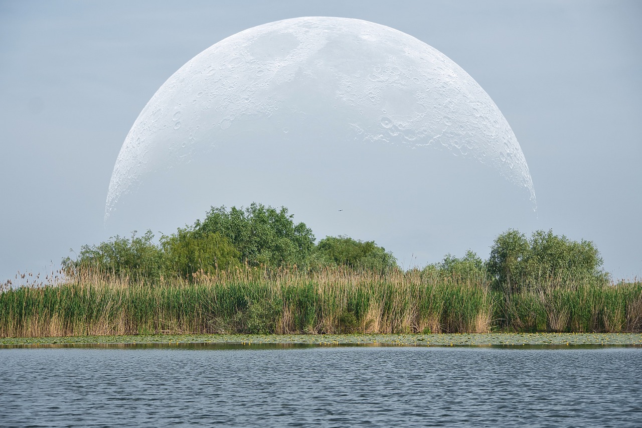 Moon Lake Forest - Free photo on Pixabay - Pixabay