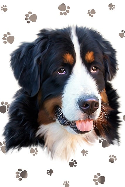 Hund Haustier Tier - Kostenloses Bild auf Pixabay
