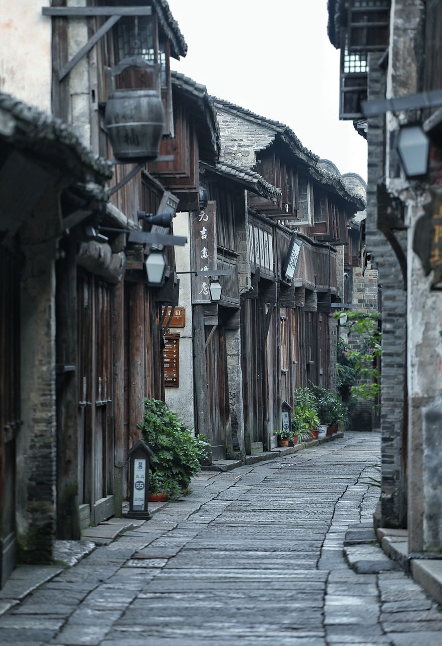 Alley Street Plants - Free photo on Pixabay