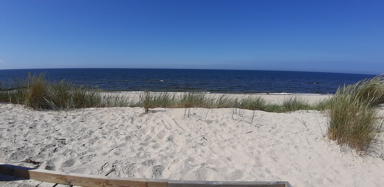The Baltic Sea Beach Coast - Free photo on Pixabay - Pixabay