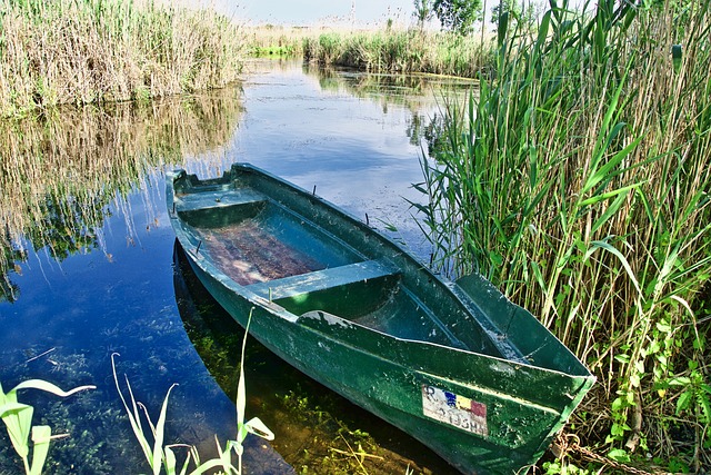 Boat Marsh Wetland - Free photo on Pixabay