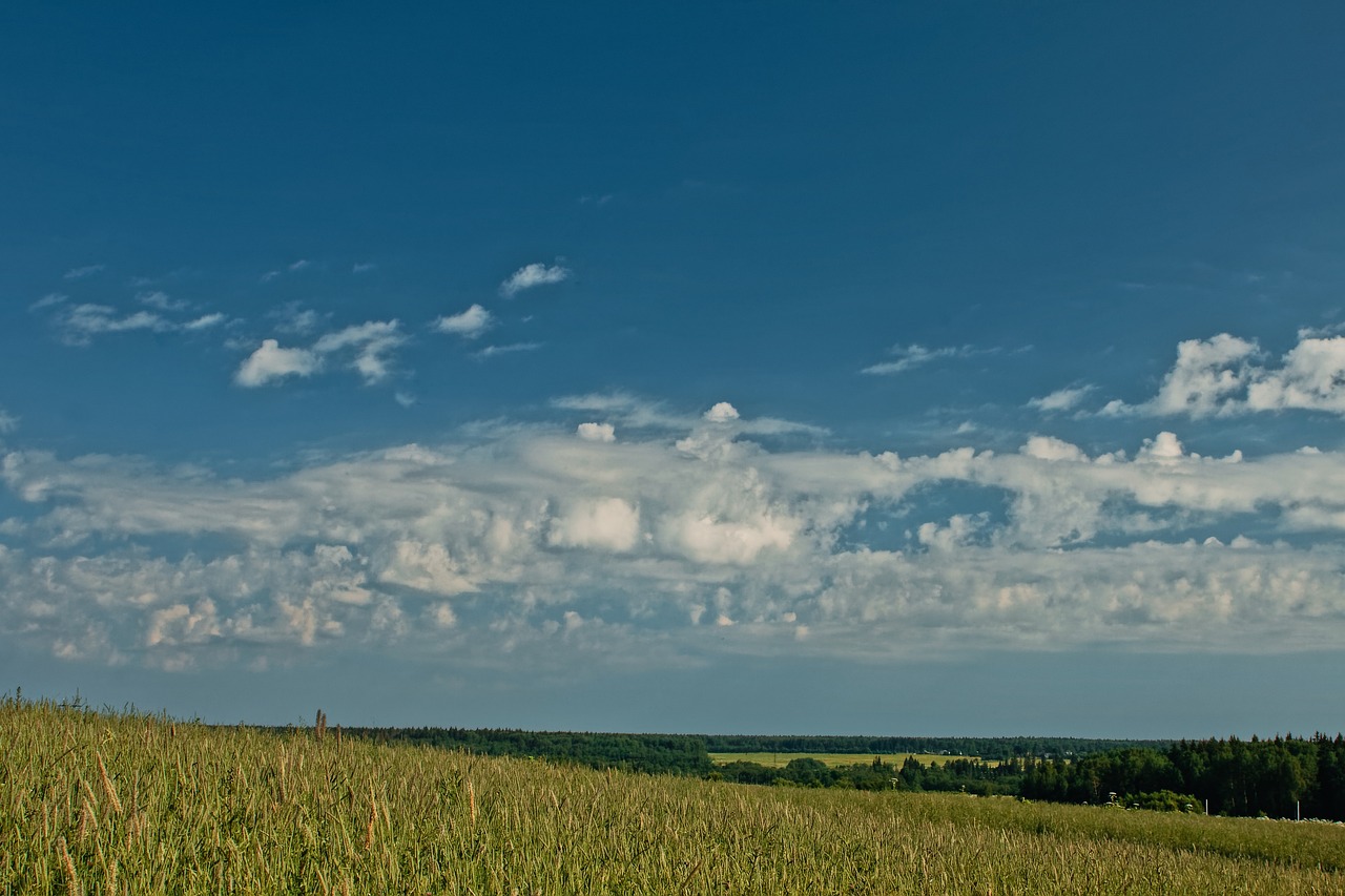 Field Nature Day - Free photo on Pixabay - Pixabay