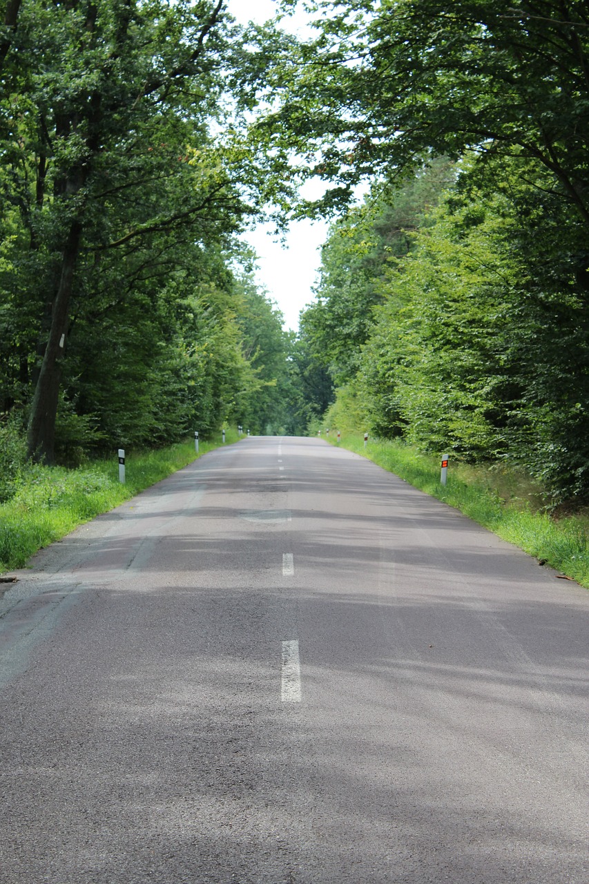Road Wood Trees - Free photo on Pixabay - Pixabay