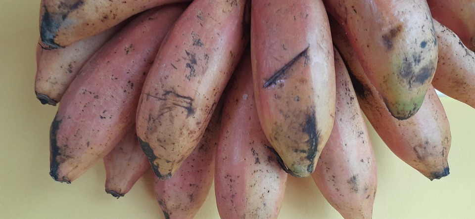 Fruit Banane - Photo gratuite sur Pixabay - Pixabay