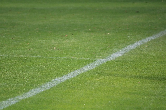 Football Field Pitch - Free photo on Pixabay - Pixabay