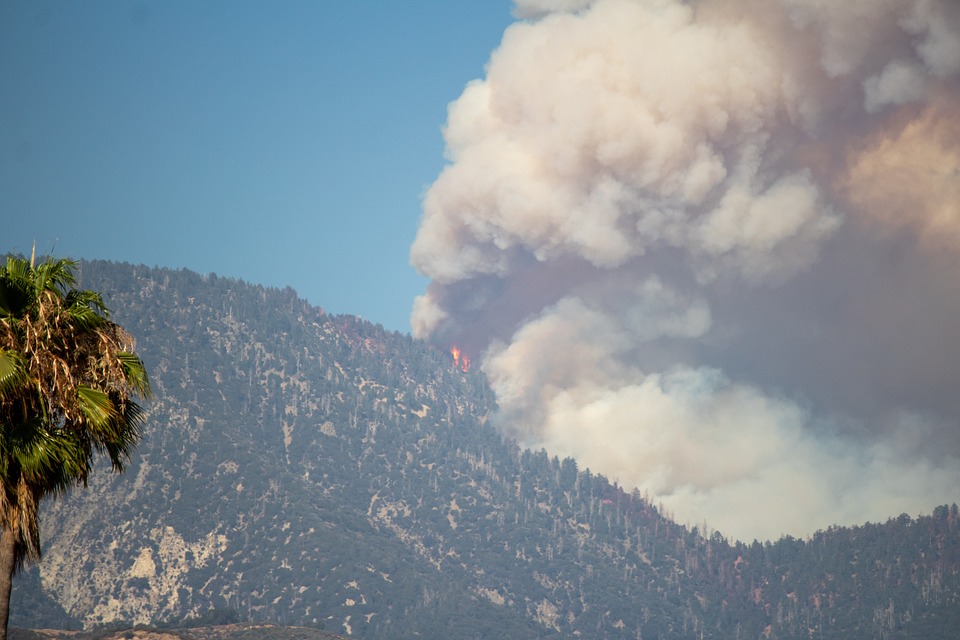 Incêndio Montanha Floresta Animais - Foto gratuita no Pixabay - Pixabay