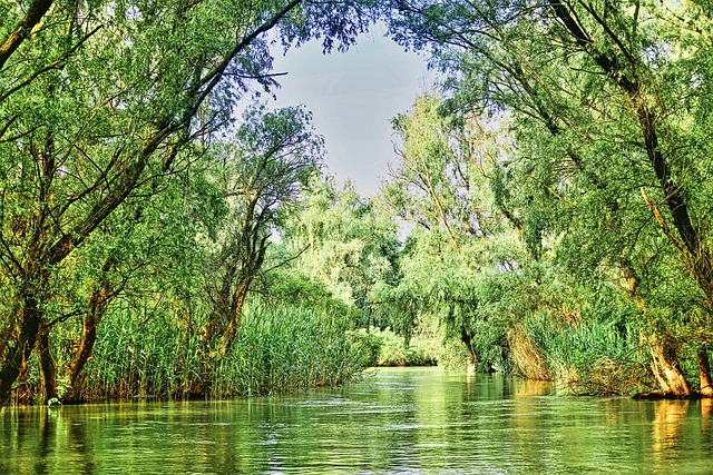 Nature Vert Paysage - Photo gratuite sur Pixabay - Pixabay