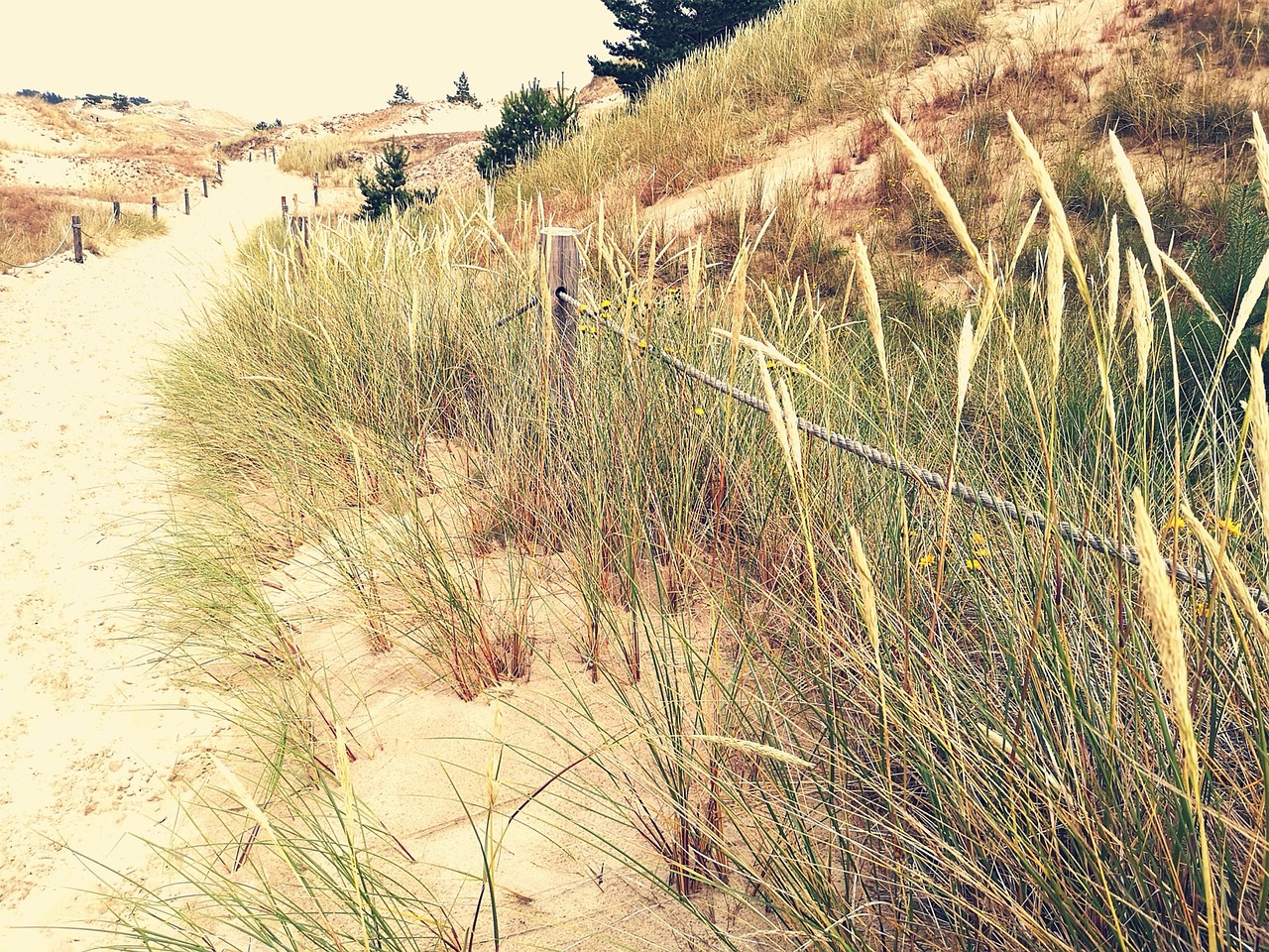 Les Dunes De Sable La Côte Parc - Photo gratuite sur Pixabay - Pixabay
