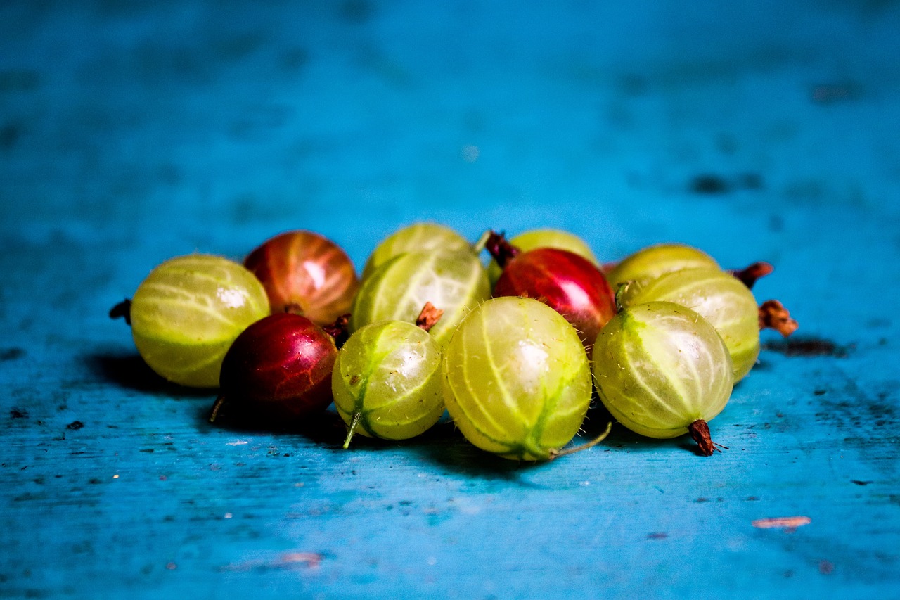 Groselhas Fruta De Verão Comida - Foto gratuita no Pixabay - Pixabay