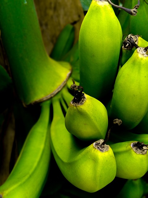 Banane Des Fruits Les Plantes - Photo gratuite sur Pixabay - Pixabay