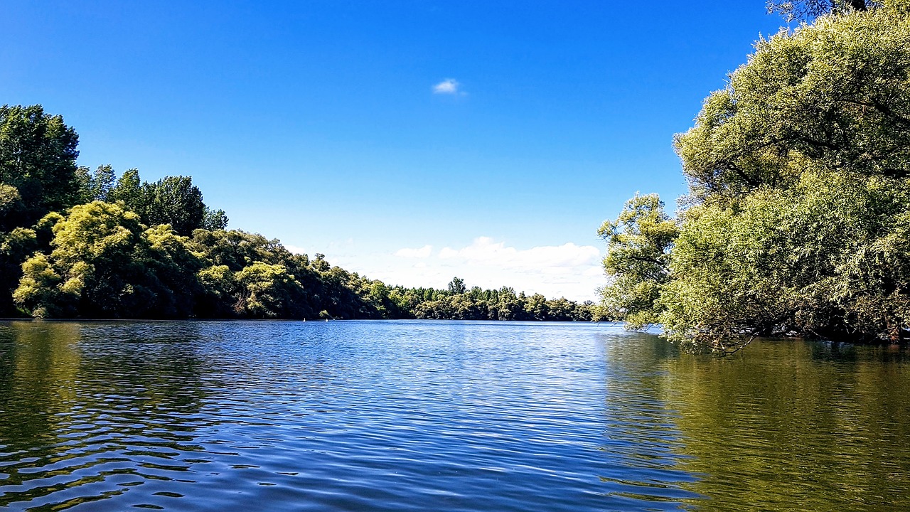 Rhine Water Nature - Free photo on Pixabay - Pixabay
