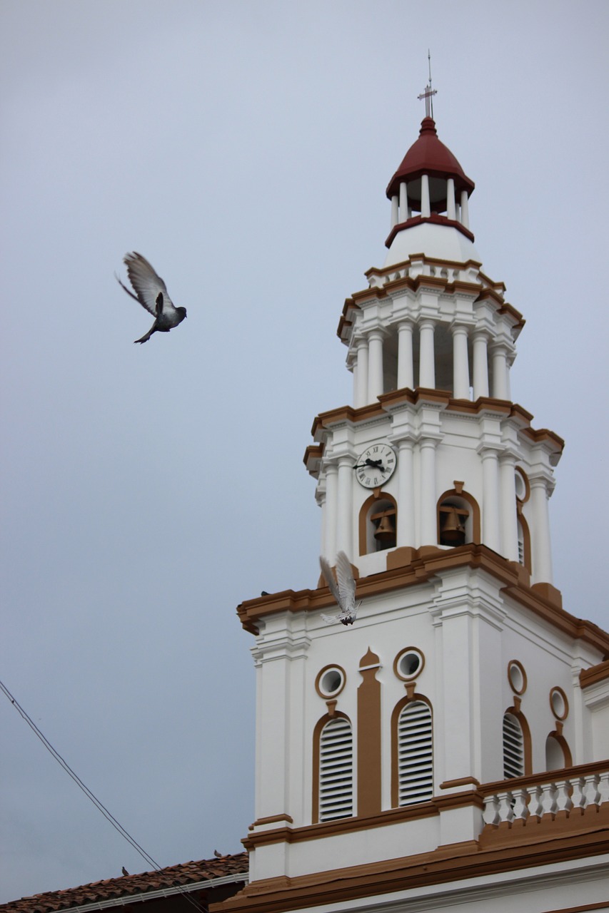Church Building Bird - Free photo on Pixabay - Pixabay