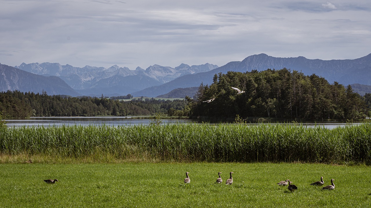 Lake Forest Mountains - Free photo on Pixabay