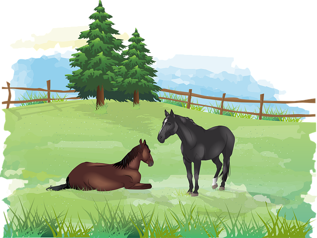 Over 4000 illustrasjoner av Hest og Natur - Pixabay