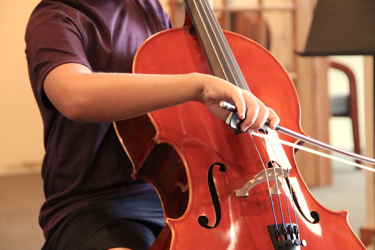 Músico Violoncelo Violoncelista - Foto gratuita no Pixabay - Pixabay