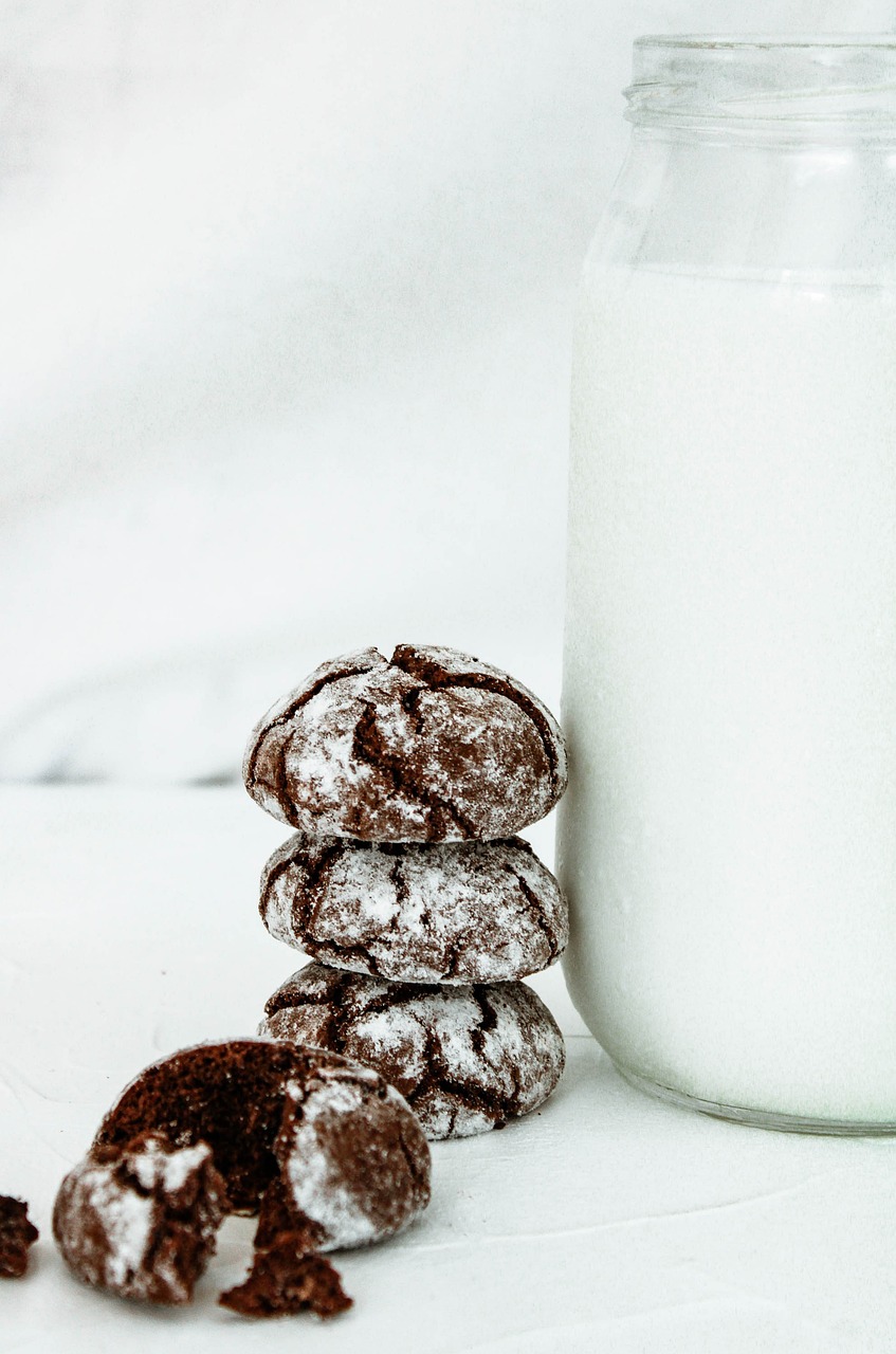 Milk Cookies Chocolate - Free photo on Pixabay
